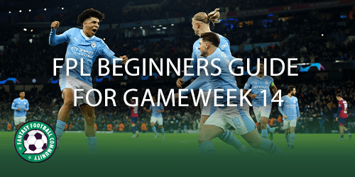 FPL Beginners Guide for Gameweek 14 - Fantasy Football Community
